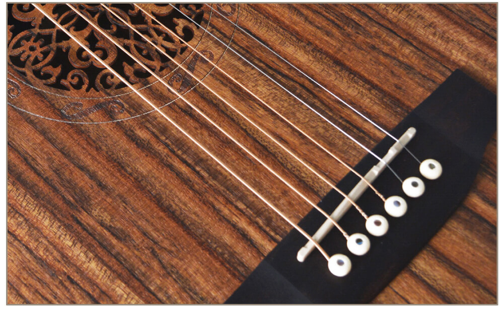 גיטרה אקוסטית מוגברת - LG-09 | וידאו אקוסטיות מוגברות | כלי-מיתר