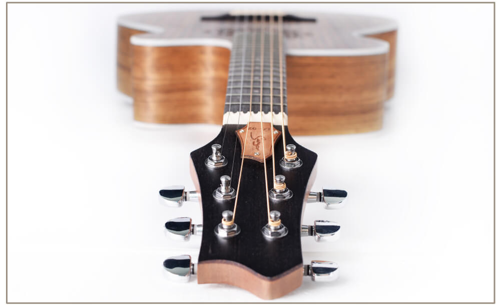 גיטרה אקוסטית מוגברת - LG-09 | וידאו אקוסטיות מוגברות | כלי-מיתר